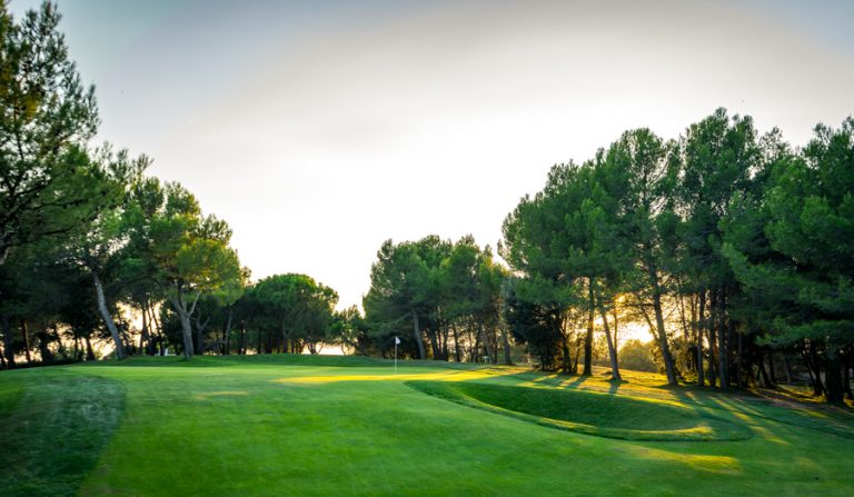 Pont Royal ‑ Good Sundays